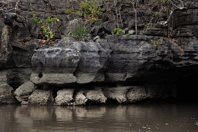 2 Hours Private Mangrove Tour Langkawi - What’s Included and What’s Not?