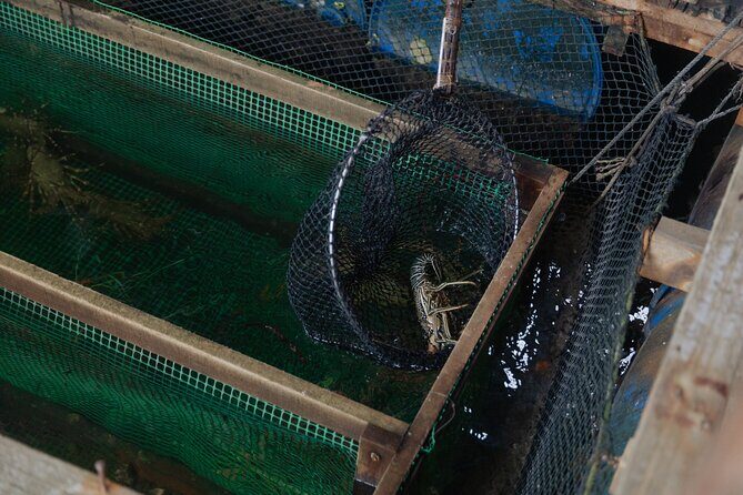 2 Hours Private Mangrove Tour Langkawi - Potential Drawbacks or Considerations