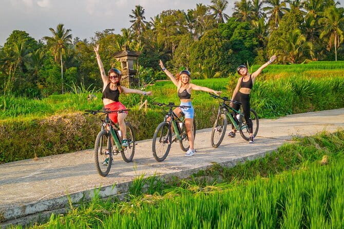 2 Hours Private Scooter Lesson in Bali - Practical Details: What Travelers Need to Know
