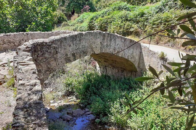 2 hours Quad Tour in Marbella - 1 quad for 1/2 persons 170 - An In-Depth Look at the Marbella Quad Tour