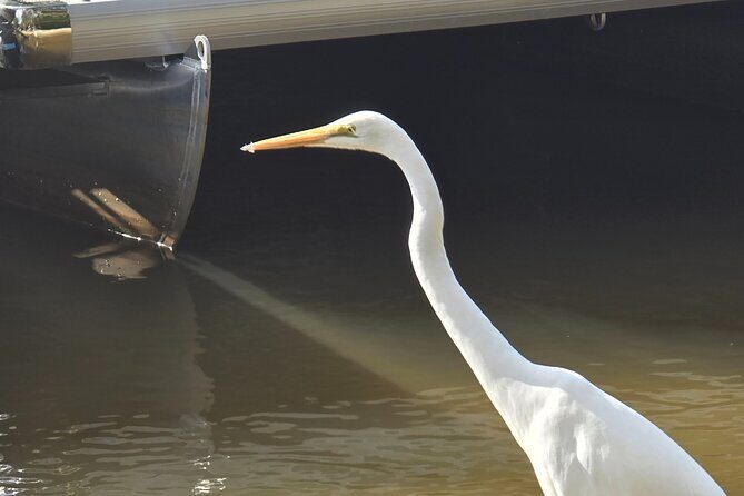 2 Hours Sunset Experience on Noosa River - Frequently Asked Questions