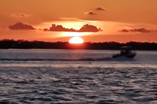 2 Hours Swim with the Dolphins in Panama City - The Real Value and Considerations