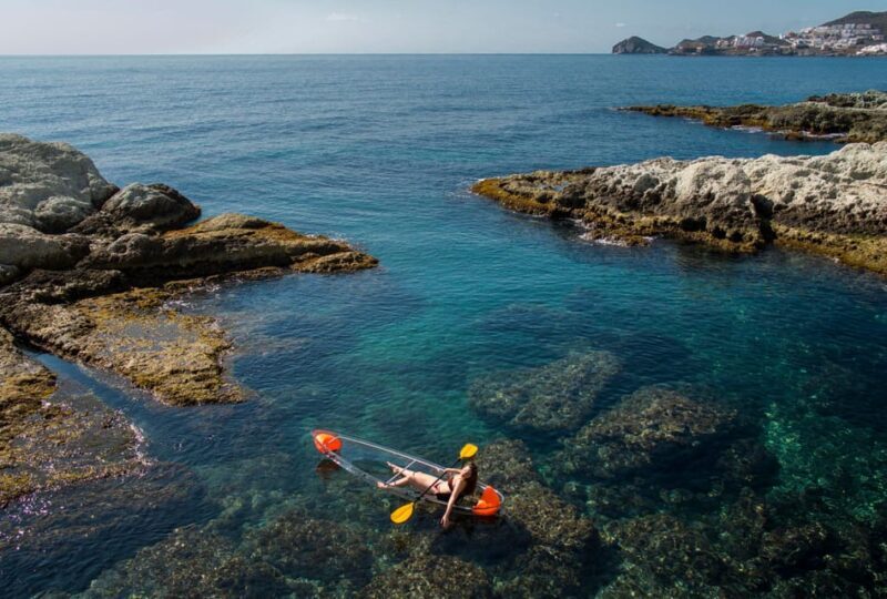 2 Hours Tour - Transparent Kayak Tour - A Detailed Look at the 2-Hour Transparent Kayak Tour