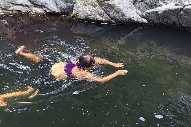 2 Hours Trekking Waterfall Tour in Tobago - Who Should Consider This Tour?