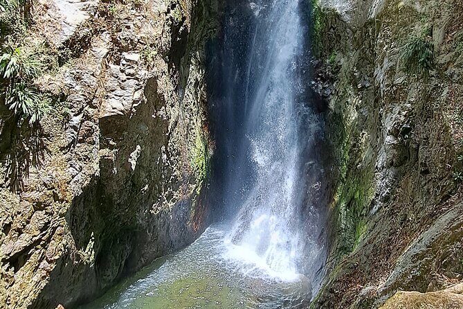 2 Hours Trekking Waterfall Tour in Tobago - Frequently Asked Questions