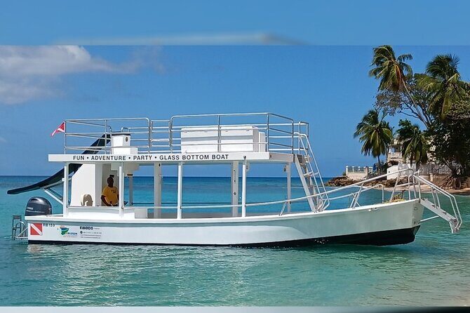 2 Hours Turtle Feeding, Shipwreck & Reef Snorkeling Tour Barbados - The Sum Up: Who Will Love This Tour?