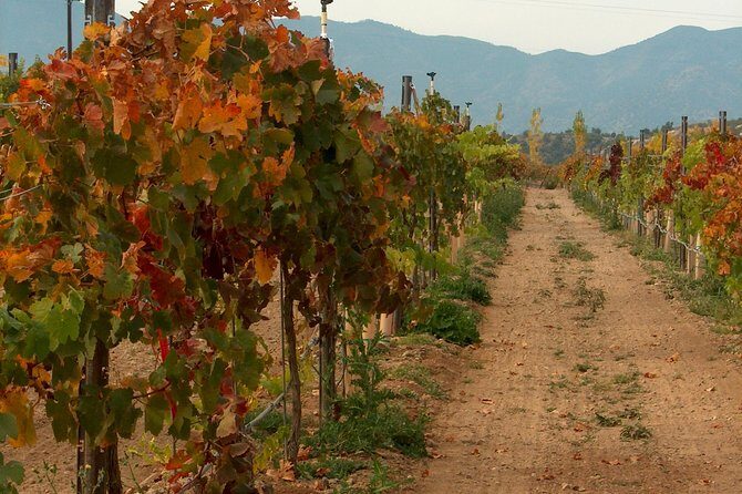 2 Hours Water to Wine Kayak Trip from Cottonwood - The Balance of Adventure and Relaxation