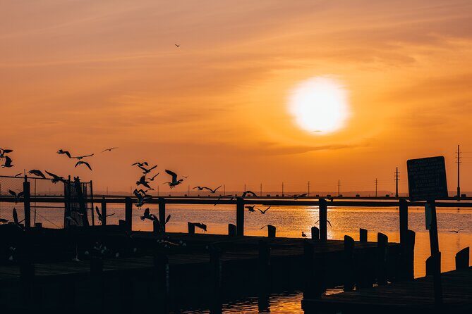 2-Hr Sunset Ultimate Party Pontoon Rental in Chincoteague Island - Key Points