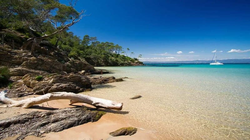 2 Islands Cruise: Porquerolles & Port-Cros with stops - Pricing and Value