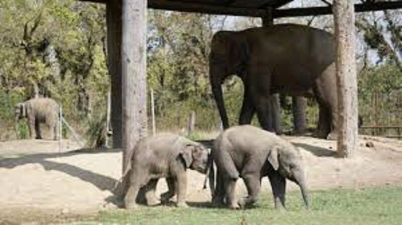 2 N 3 Days Chitwan tour package from Pokhara or Kathmandu - Starting the Journey: From Pokhara or Kathmandu to Chitwan