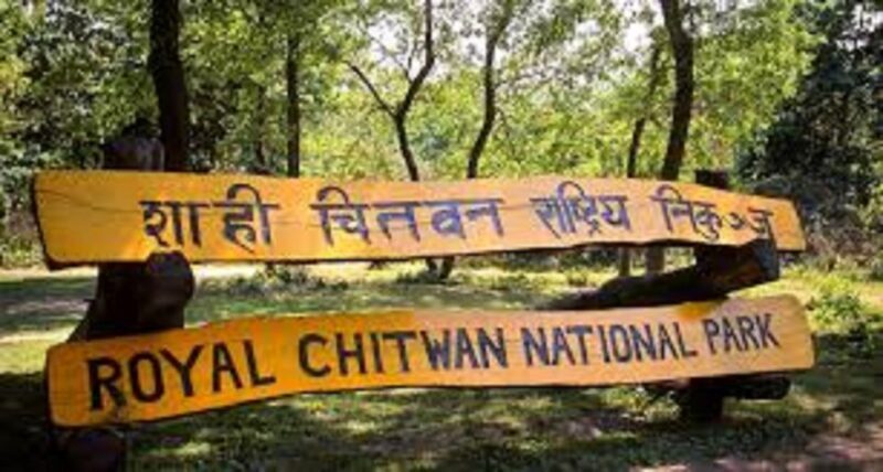 2 N 3 Days Chitwan tour package from Pokhara or Kathmandu - Whats Included and Whats Not