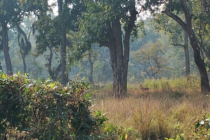 2 Night 3 Days Chitwan Jungle Safari Tour from Kathmandu - The Journey Begins: From Kathmandu to Chitwan