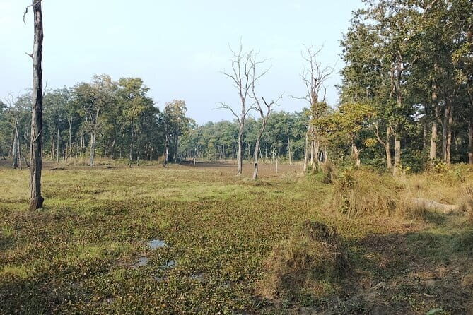 2 Night 3 Days Chitwan Jungle Safari Tour from Kathmandu - Final Thoughts