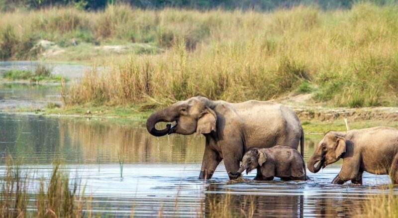 2 Night 3 Days Chitwan National Park/From Kathmandu/Pokhra - Who Should Consider This Tour?