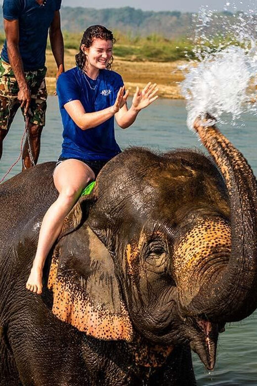2 Night 3 Days Chitwan National Park/From Kathmandu/Pokhra - Final Thoughts