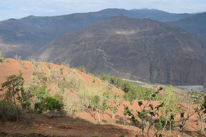 2 Night Jungle Safari Tour in Chitwan National Park - Practical Aspects of the Tour