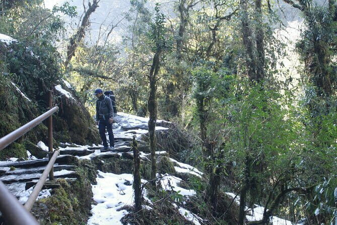 2 Night Quick Poon Hill and Ghandruk Trek - The Experience: What You’ll Actually Do