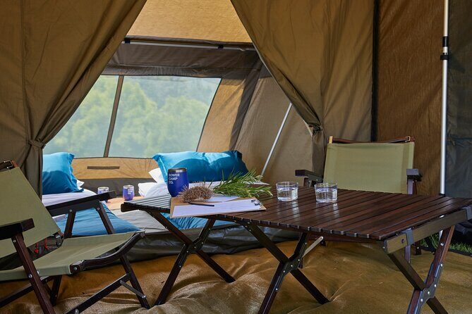 2 Night Rainforest Glamping Adventure near Byron Bay - What the Tour Offers: A Closer Look