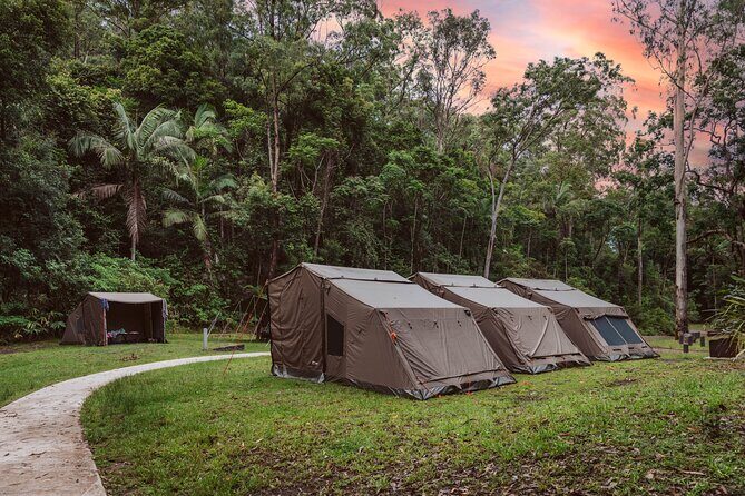 2 Night Rainforest Glamping Adventure near Byron Bay - Detailed Trip Breakdown