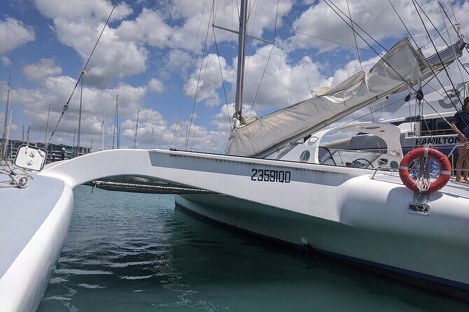 2-Night Whitsunday Islands Sailing Adventure on Trimaran Avatar - Pricing and Overall Value