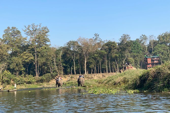 2 Nights 3 Days Chitwan Jungle Safari Tour - Final Thoughts: Is It Worth It?