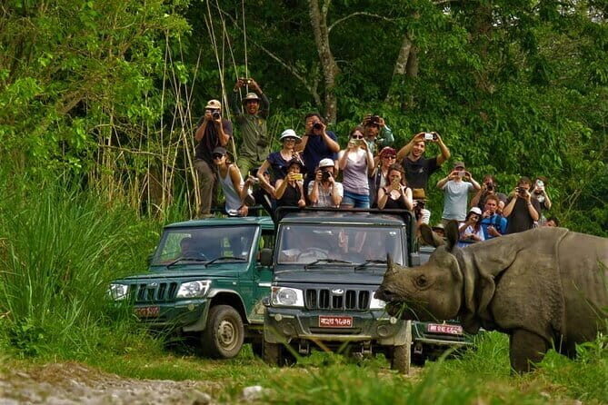 2 Nights 3 Days Chitwan National Park Package with Jeep Safari - Introduction: Your Quick Guide to Chitwan’s Wild Side