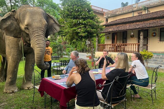 2 Nights 3 Days Chitwan National Park Package with Jeep Safari - Who Will Love This Tour?