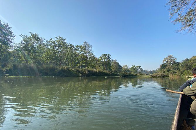 2 Nights 3 Days Chitwan Safari Tour from Kathmandu or Pokhara - An Honest Look at the Chitwan Safari Tour Experience