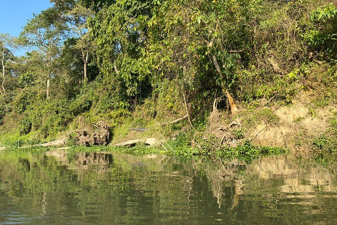 2 Nights 3 Days Chitwan Safari Tour from Kathmandu or Pokhara - The Sum Up