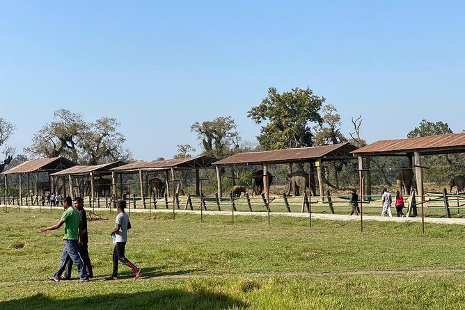 2 Nights 3 Days Chitwan Wildlife Jungle Safari Package Tour - FAQ