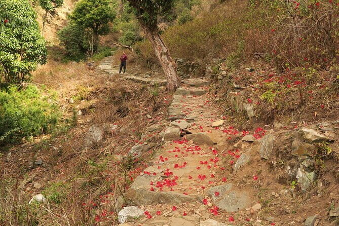 2 Nights / 3 Days Delhi to Mahavatar BabaJi Cave Tour in India - Key Points