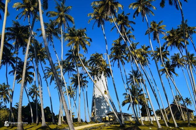 2 Nights 3 Days Tour from Colombo, Sri Lanka - Key Points