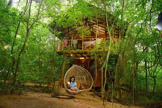 2 Nights in a Tree House in Sigiriya-with nature based activities - Exploring the 2 Nights in a Tree House in Sigiriya—A Nature-Focused Getaway