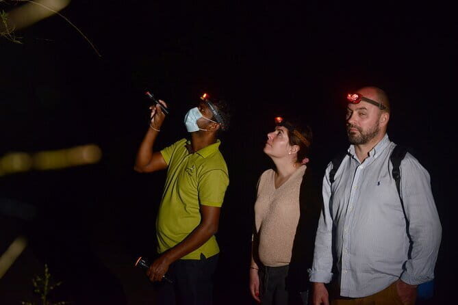 2 Nights in a Tree House in Sigiriya-with nature based activities - Final Thoughts