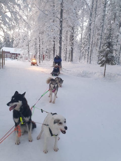 2 Nights Lapland experience - Frequently Asked Questions