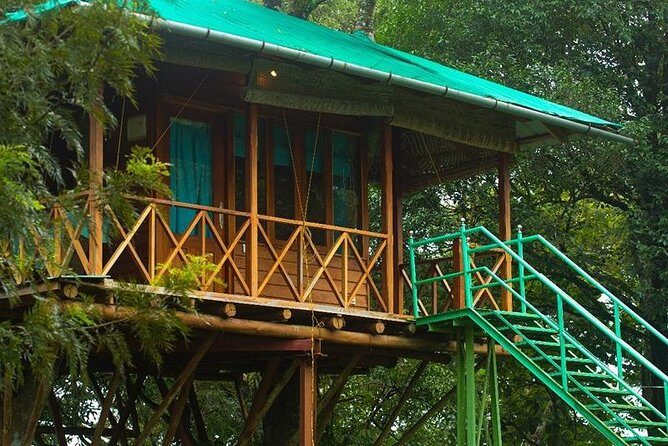 2 Nights Munnar Treehouse Escape with Private Car- Iris Holidays - The Food and Local Flavors