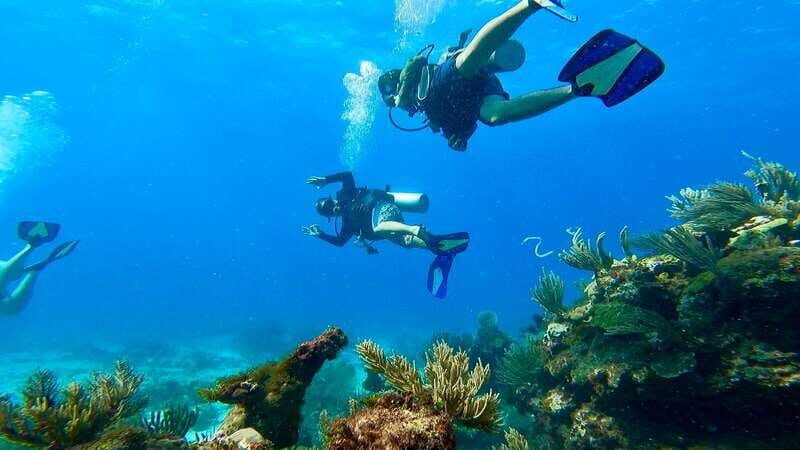 2 Ocean Dives: MUSA Underwater Museum and Manchones Reef - What’s Included and What You Should Budget For
