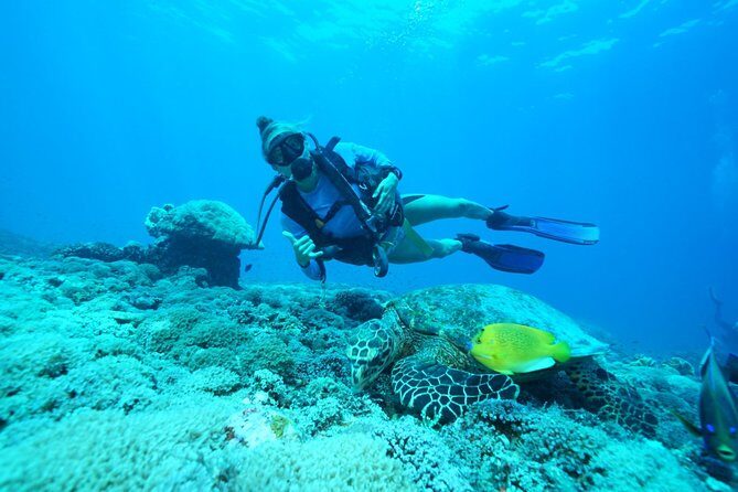 2 or 3 dives in Nusa Lembongan and Penida, for certified diver (in Lembongan) - Dive into the Details: What to Expect