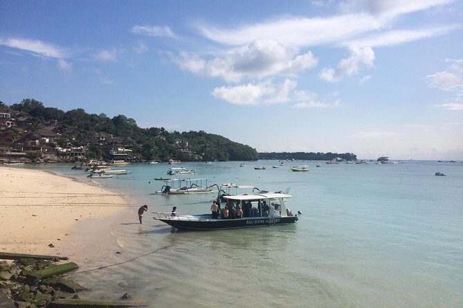 2 or 3 dives in Nusa Lembongan and Penida, for certified diver (in Lembongan) - Final Thoughts: Who Will Appreciate This Tour Most?