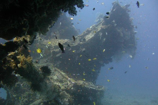 2 PADI Certified Dives at Tulamben from Bali - An In-Depth Look at the Experience