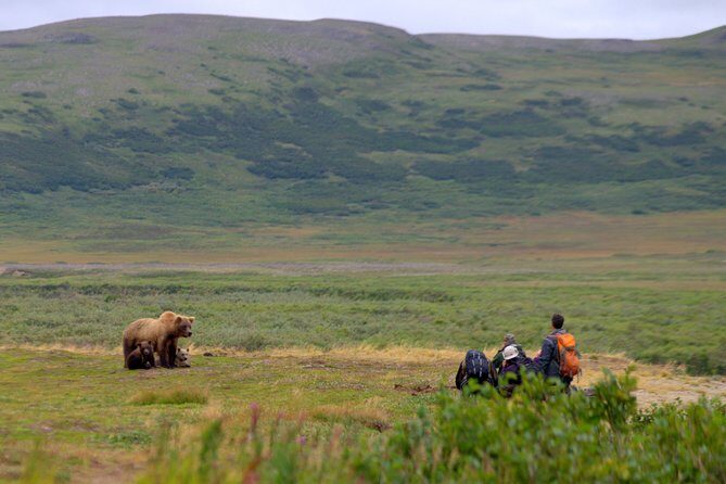 2 Park Bear Viewing Adventure to Katmai and Lake Clark NP - Frequently Asked Questions