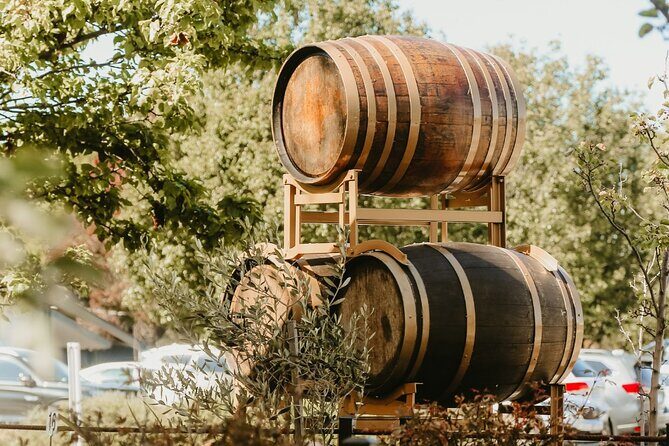 2 People - Premium Wine Tasting Experience and 2-Course Lunch - Who Will Benefit From This Experience