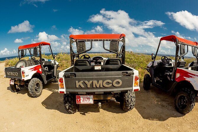 2-Seater UTV Island Tour in Aruba - Overall Value