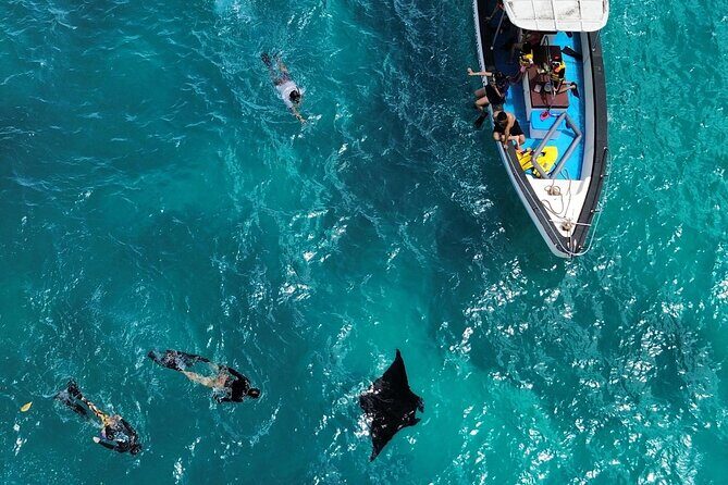 2 Spots Snorkeling Tour with Manta Rays point in Nusa Penida - The Two Snorkeling Stops