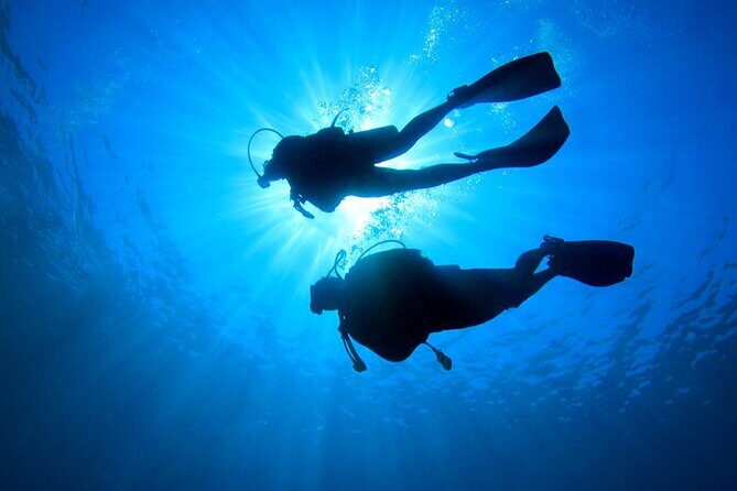 2 Tank Dive (for certified divers) - FAQs