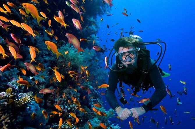 2 Tank Dive in Cozumel - Why Consider This Tour?