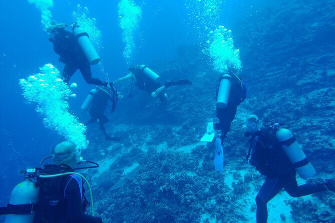 2-Tank Dive K2 Power Catamaran featuring the Molokini Crater - Who Will Love This Tour?