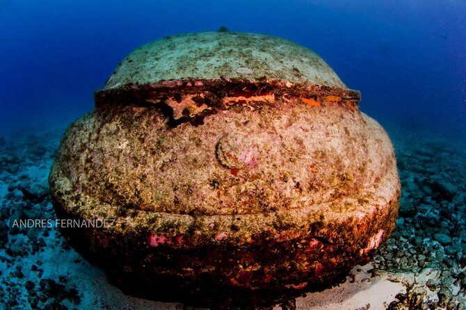 2 Tank Dives MUSA and Manchones reef (Certified divers) - An Honest Look at the 2 Tank Dives at MUSA and Manchones Reef