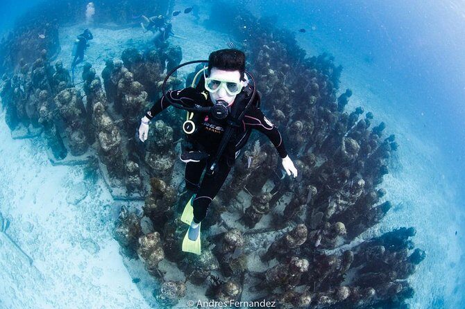 2 Tank Dives MUSA and Manchones reef (Certified divers) - Final Thoughts: Is This Tour Worth It?