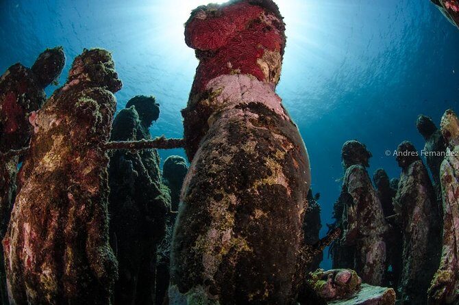 2 Tank Dives MUSA and Manchones reef (Certified divers) - Frequently Asked Questions (FAQs)